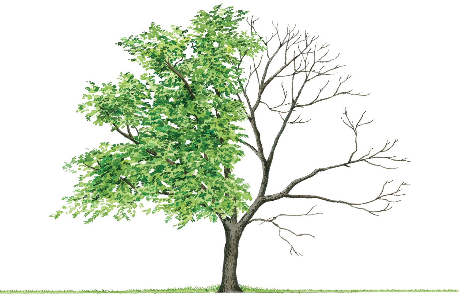 Tough Love Leadership - Helping your people to grow or to go